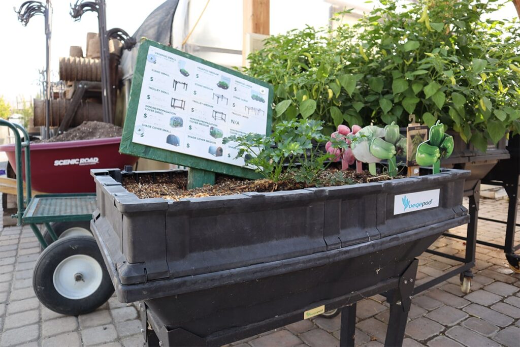Veggie pods - Rail City Garden Center