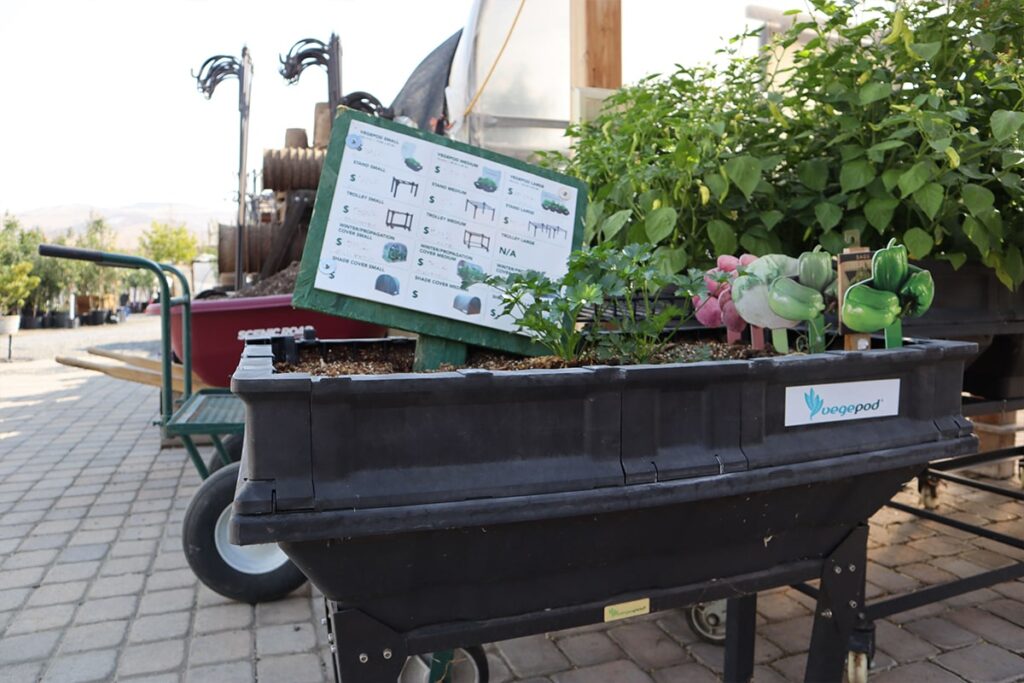 Veggie pods - Rail City Garden Center