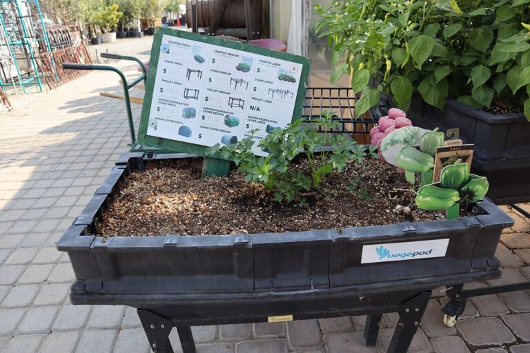 Veggie pods - Rail City Garden Center