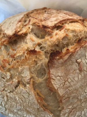 Products – Rail City Garden Center