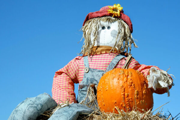Scarecrow Building – $20 Per Scarecrow - Rail City Garden Center
